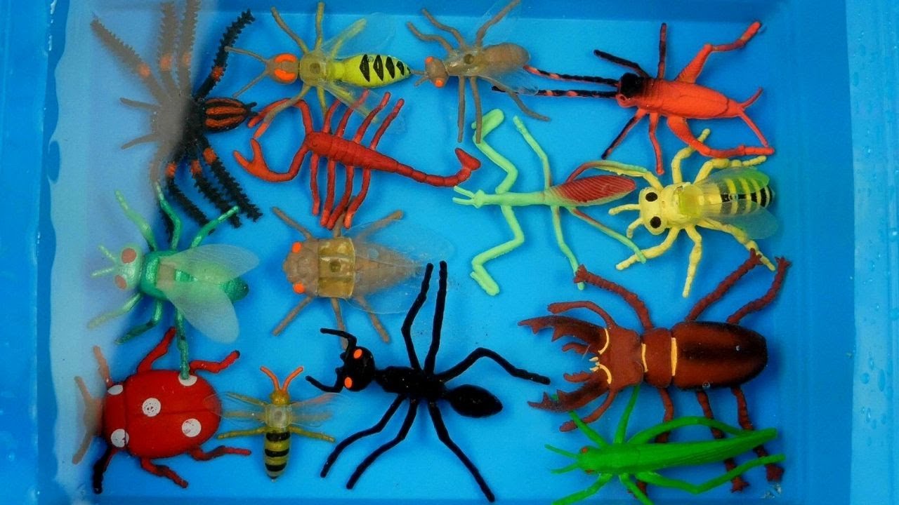 Beetle, Bee, Fly, Wasp, Butterfly, Dragonfly, Ladybug, Caterpillar | Toy Insects for Kids in English