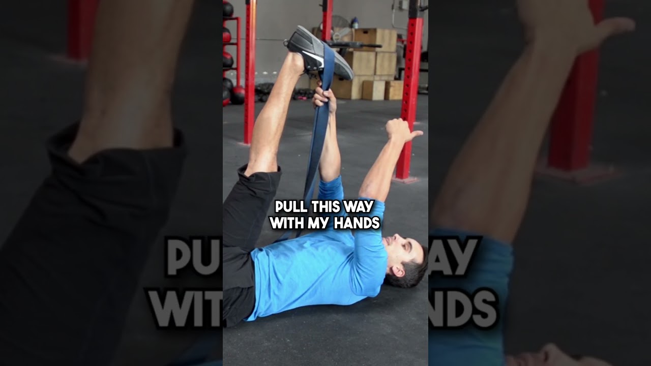 Basic Hamstring Flexibility Sequence