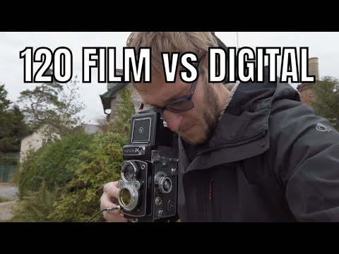 120 Film vs Digital | Monochrome Film Photography | Cerne Valley