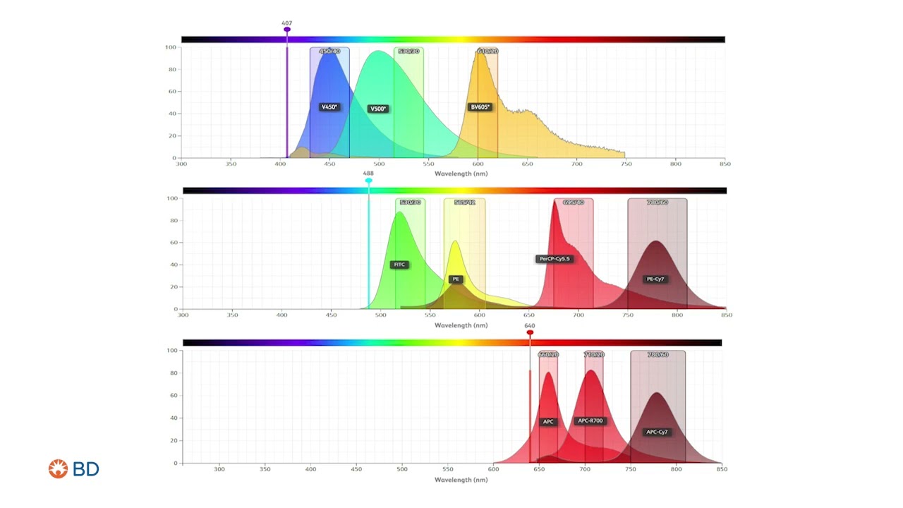Understanding Your Flow Cytometry Instrument’s Capabilities for Optimal Panel Design
