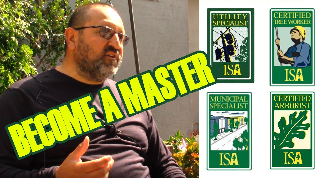 How to Become a Master at Tree Care, Tree Climbing Certifications