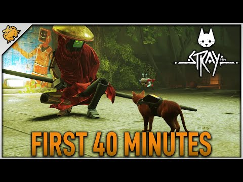 Steam Community :: Video :: Stray - First 40 Minutes of Gameplay