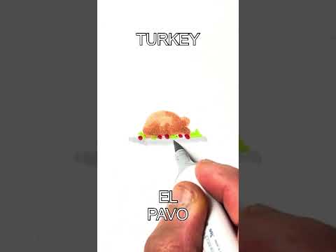 Learn Spanish! ¡Aprenda Inglés! TURKEY : EL PAVO