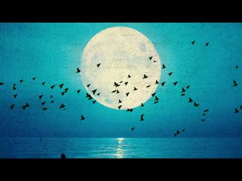 The Sticking Point (Official Lyric Video)