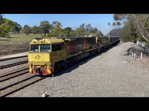 Aurizon 5002, 5024 & 5001 at East Maitland - 14/9/23
