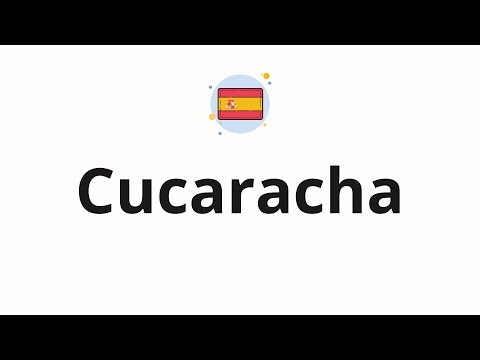 How to pronounce Cucaracha (Cockroach in Spanish)