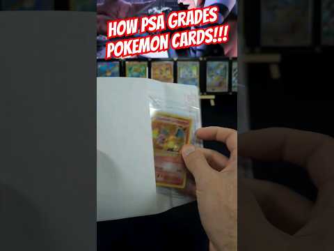 How PSA Grades Pokemon Cards!