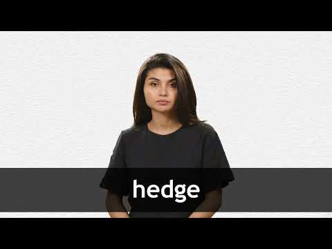 HEDGE definition and meaning | Collins English Dictionary