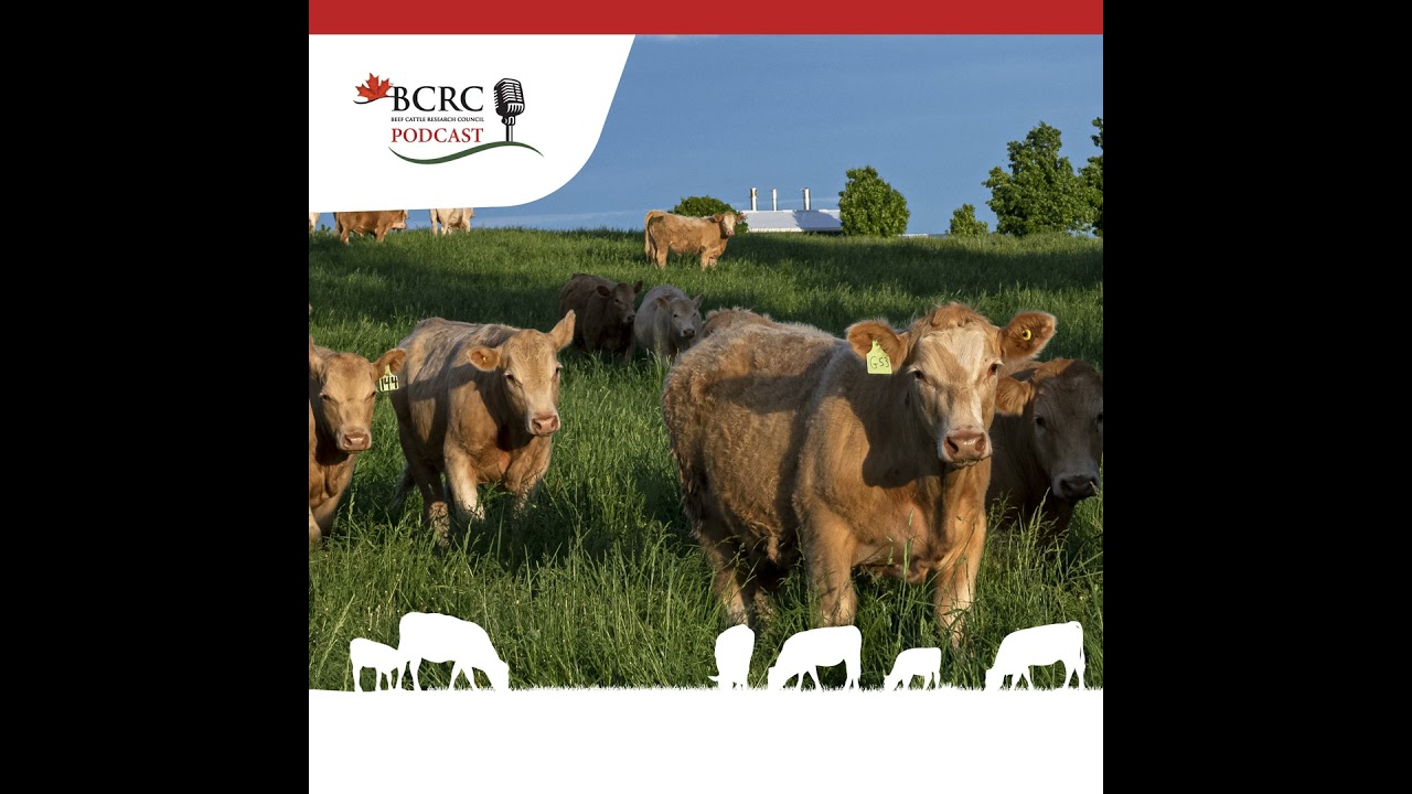 Episode 19: Choosing Forage Varieties Without Getting Lost in the Weeds