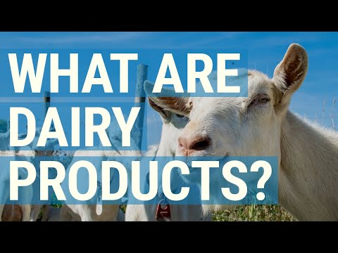 What are Dairy Products? We Break Down What Counts - and What Doesn't