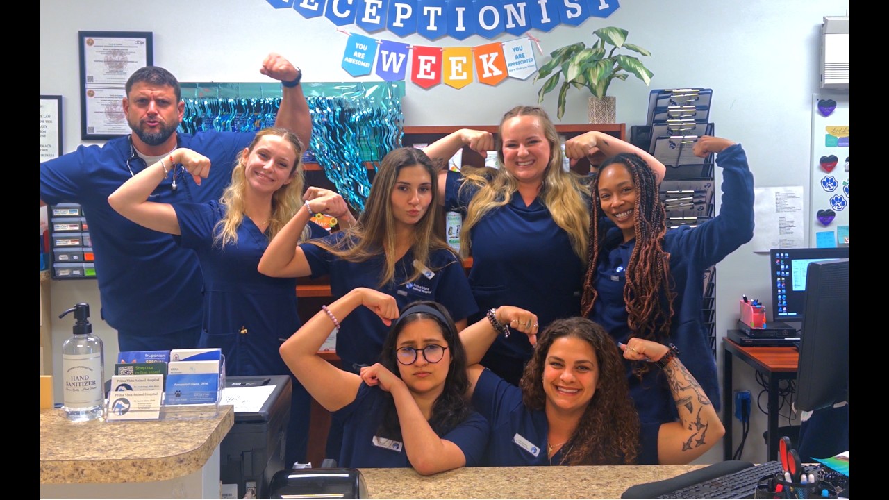 Happy Veterinary Receptionist Week!!