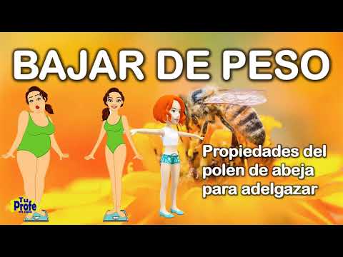 Descubre la verdad sobre la jalea real: ¿engorda o adelgaza? | Actualizado septiembre 2023