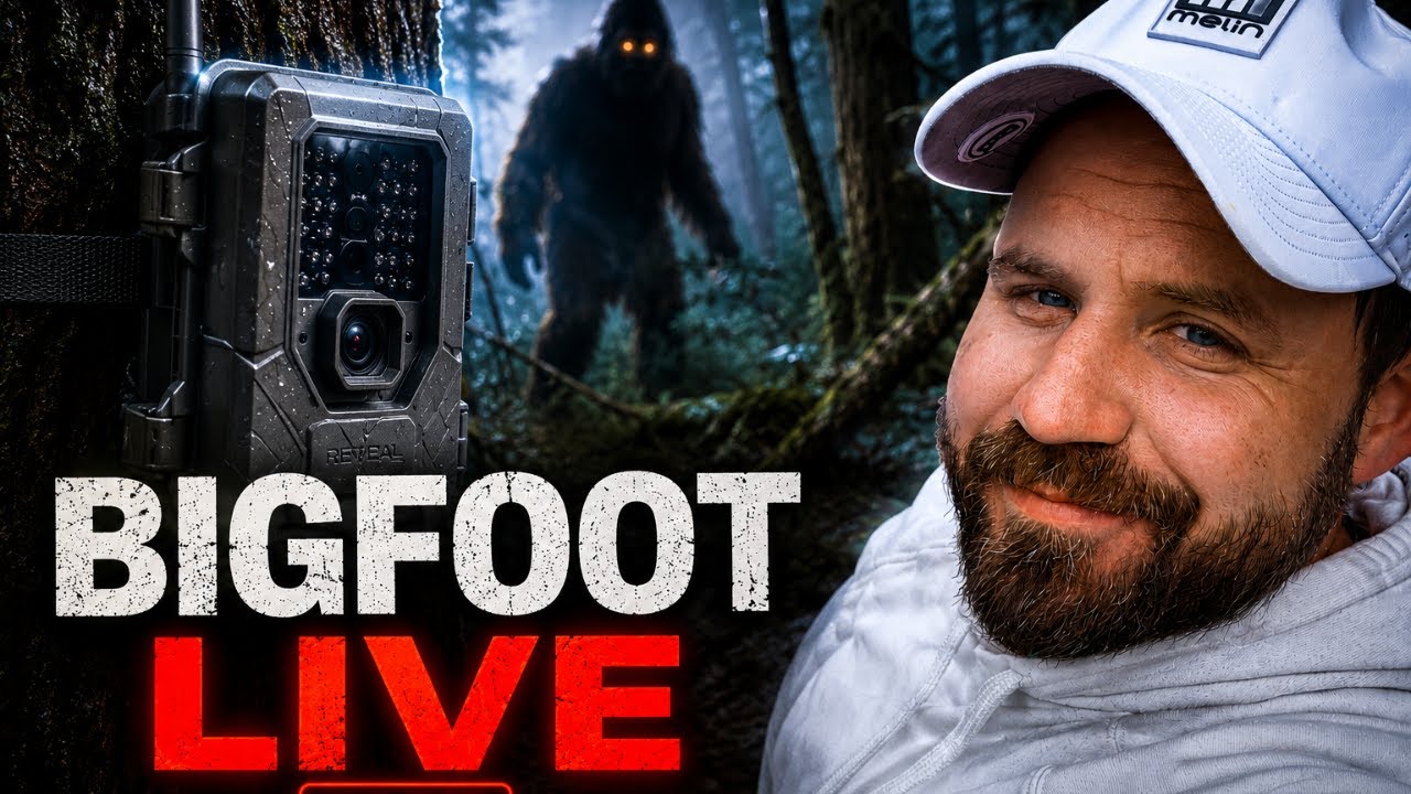 HE PUT CAMERAS IN BIGFOOT HOTSPOTS… WHAT DID THEY CAPTURE?