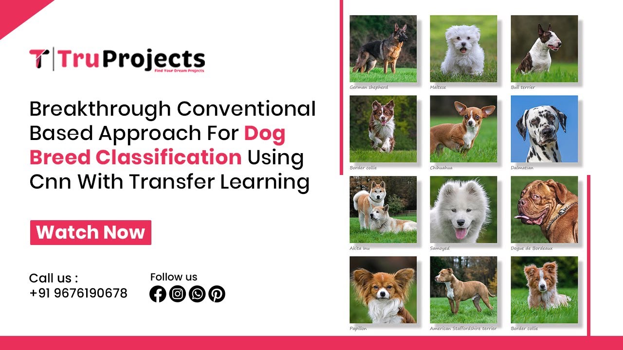Breakthrough Conventional Based Approach For Dog Breed Classification Using Cnn With Transfer Learni