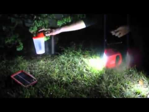 d light Solar Lamps - Latest Price, Dealers & Retailers in India