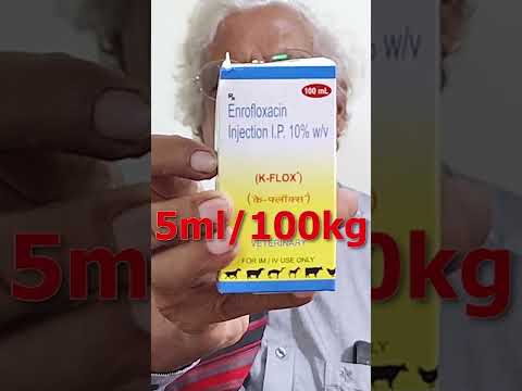 Enrofloxacin Injections - Enrofloxacin Injection IP Latest Price ...