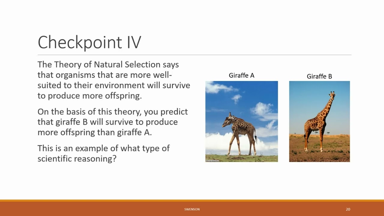 Chapter 1 BIO 181
