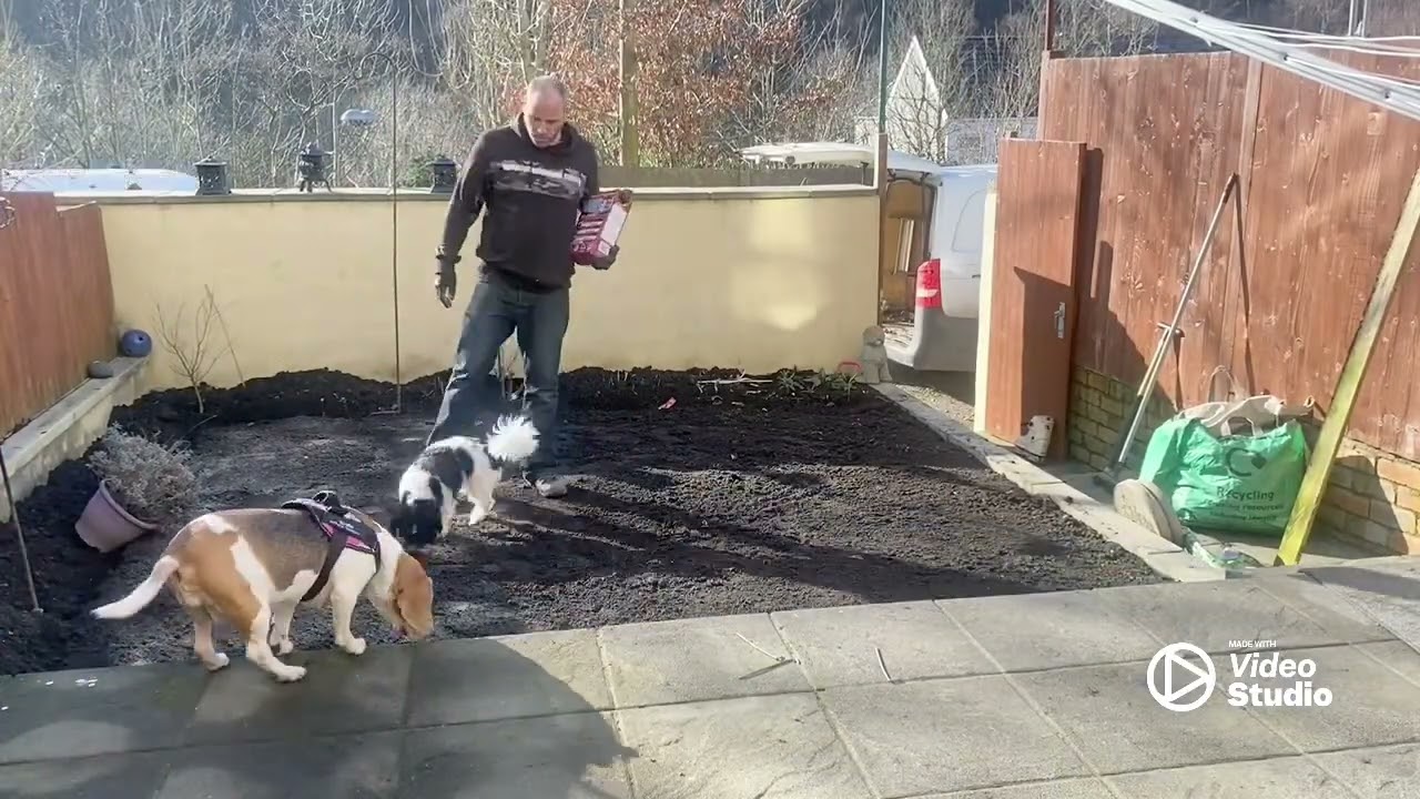 Preparing and laying turf , gardening, garden maintenance, simon taylor lawn to treetops