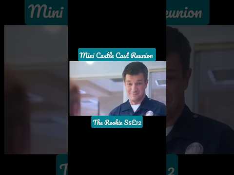 Castle Cast Reunion Richard Castle & Alexis Castle on The Rookie!