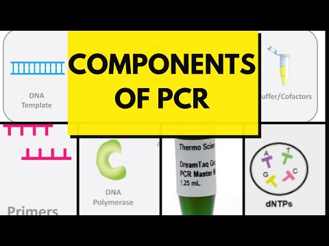 Components of PCR, what we need to run PCR, constituent or ingredients of polymerase chain reaction
