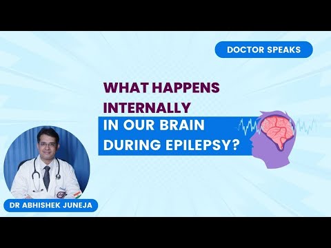 What Happens Internally In Our Brain During Epilepsy ?