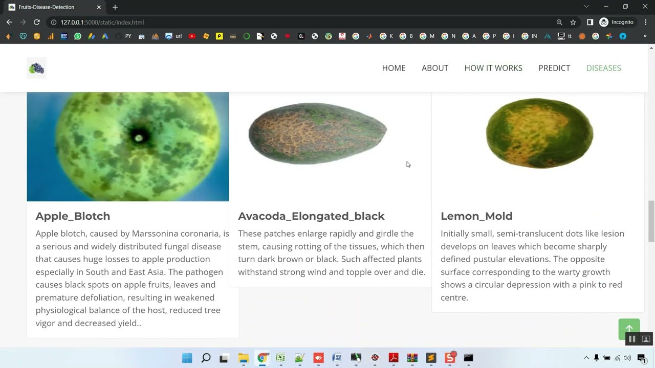 Convolutional Neural Networks of Whole Jujube Fruits Prediction Model ...