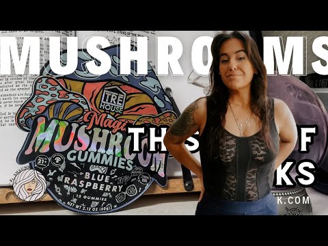 Mushroom Gummies Review