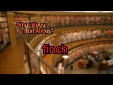 What does finch mean?