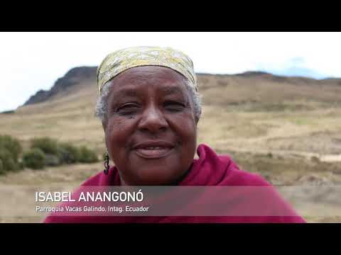 Extractivismo minero en Latinoamérica