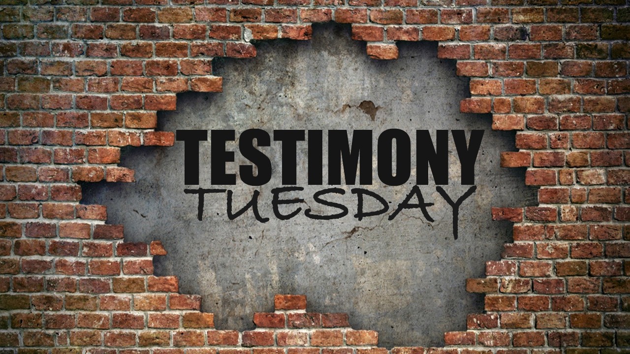 Testimony Tuesday / UPDATES (Part 1)