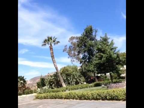 Rent a mansion Los Angeles