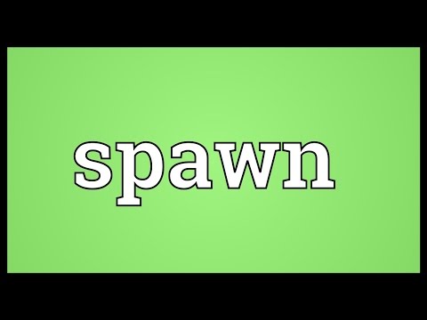 Spawn Meaning