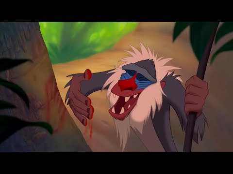 Rafiki laughing