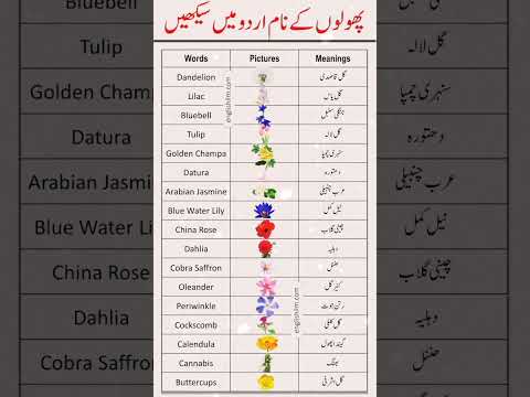 #flowersNameInEnglishWithPictureAndUrduMeaning#workout #love#training#health#lifestyle #life #goals