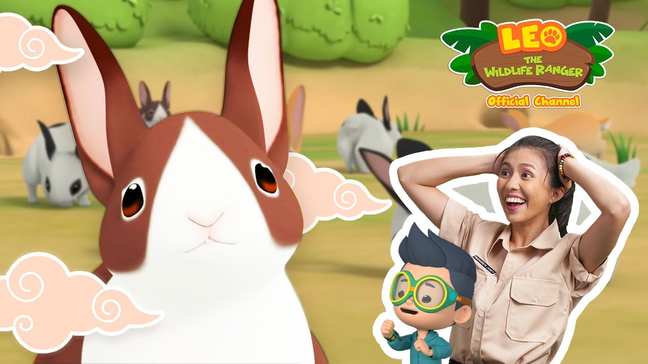 It's the Year of the Rabbit! 🐰 | Rabbit Island | Leo the Wildlife Ranger | #compilation