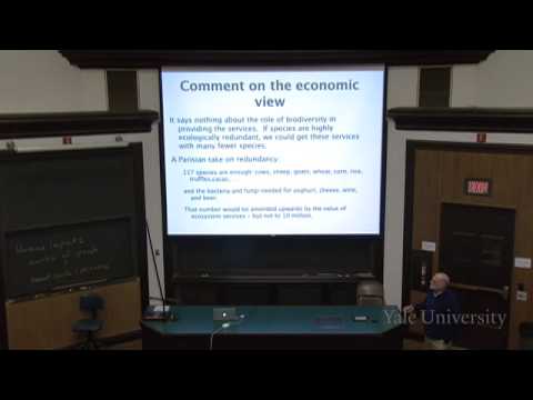 31. Why So Many Species? The Factors Affecting Biodiversity