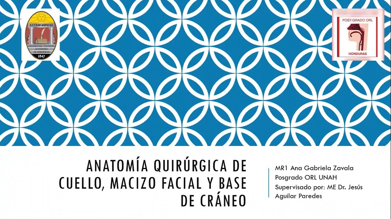 Anatomía quirúrgica de Cuello, macizo facial y base de cráneo