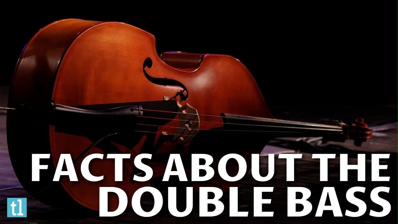 Facts About Double Bass