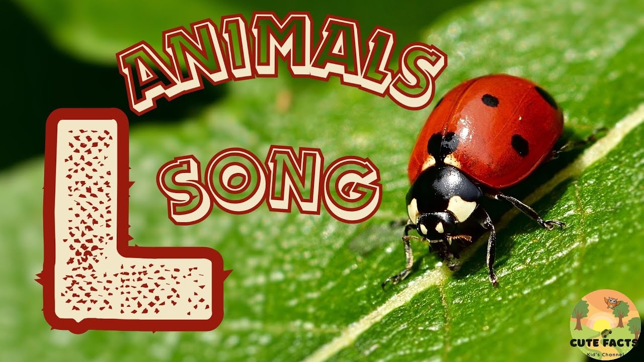Discover Animals Starting with L Song! 🎶🐾Alphabet Animals Nursery Rhyme for Kids | Cute Facts
