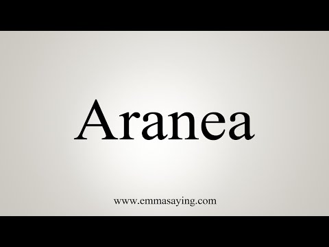 How To Say Aranea