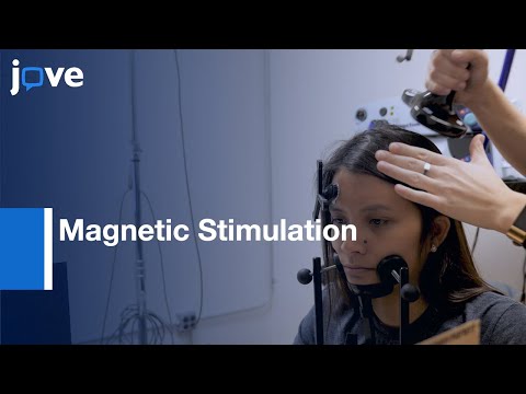 Magnetic Stimulation to measure and manipulate neural Pathways | Protocol Preview