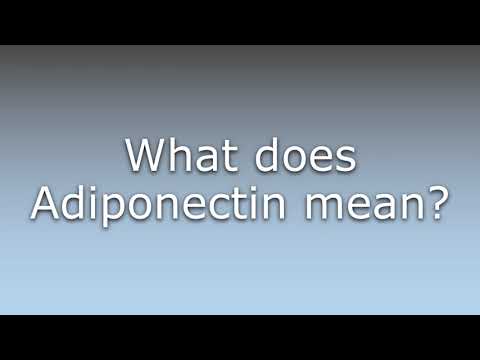 What does Adiponectin mean?