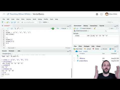 Basics of Vectors in R