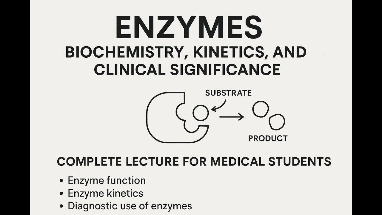 Enzymes: Biochemistry, Kinetics, and Clinical Significance | Complete Lecture for Medical Students