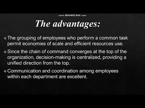 Types of Organizational Structure