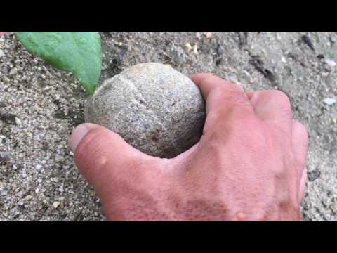 WHITE Flint & Hardstones! ~ 558. Artifact Find! June 2017