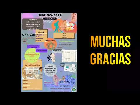 Infografía sobre Biofísica de la Audición - S2/A1
