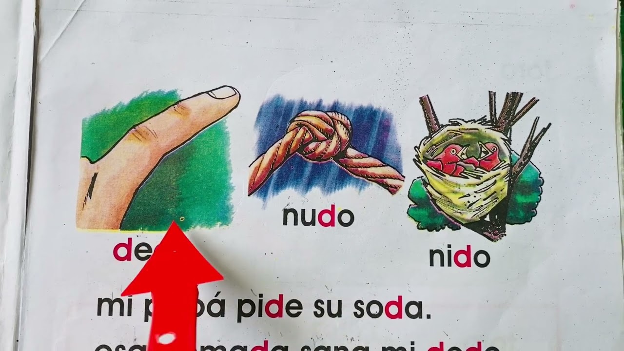 Lección de dado del libro Nacho / Aprendiendo los sonidos “Da, De, Di, Do, Du” / Cartilla de Nacho.