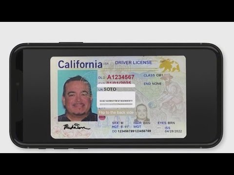No more physical drivers' licenses? This could be a reality in California