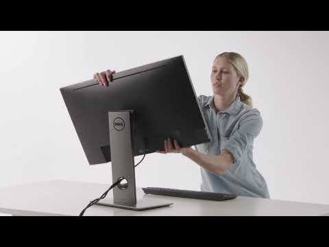 Dell P Monitor Family